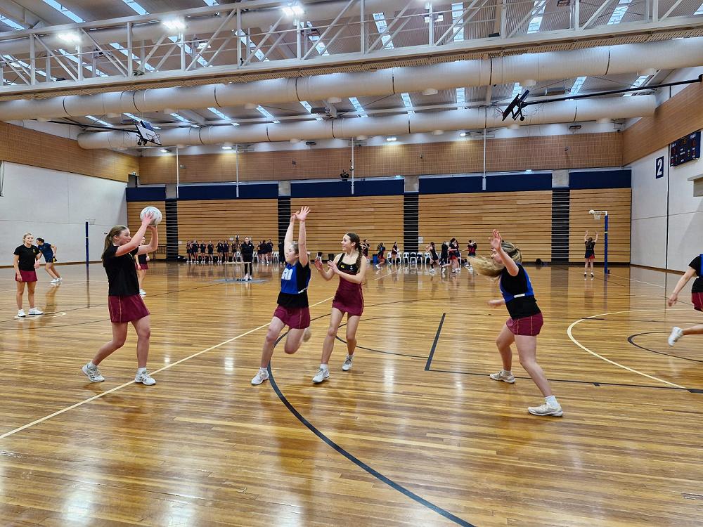 CHS Newsletter - August 29th, 2025