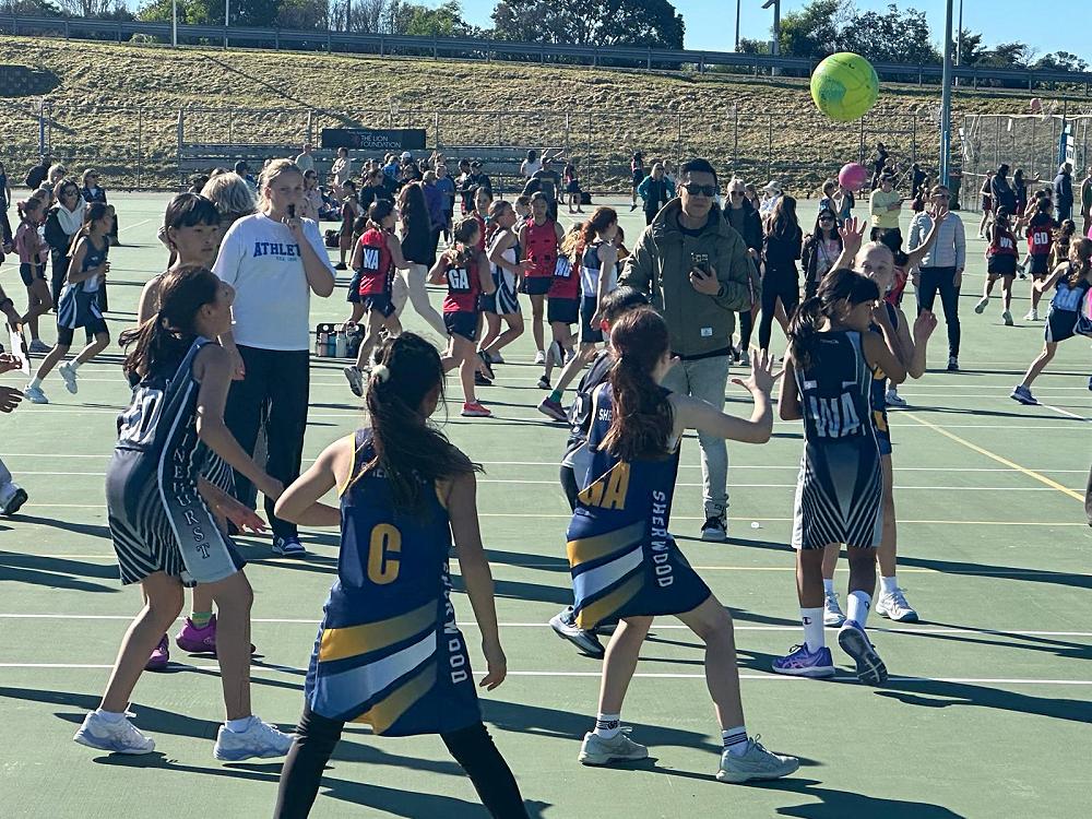 Year 6 Netball Field Day