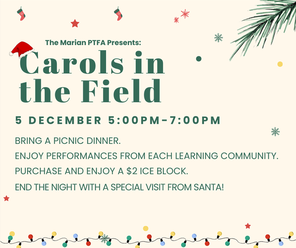 PTFA — Newsletter: Term 4, Week 8, 2024