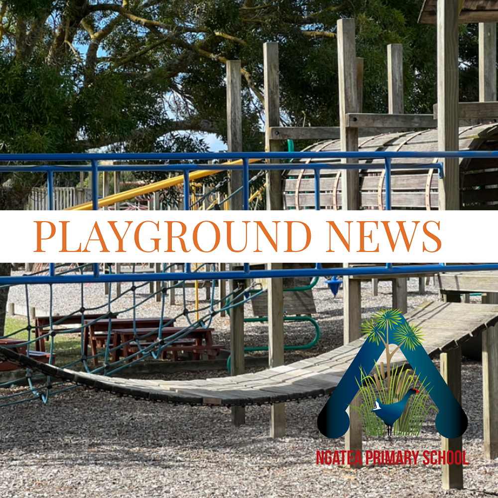 EXCITING PLAYGROUND UPGRADE UNDERWAY! — 2025 Newsletter - Term 1, Week 5