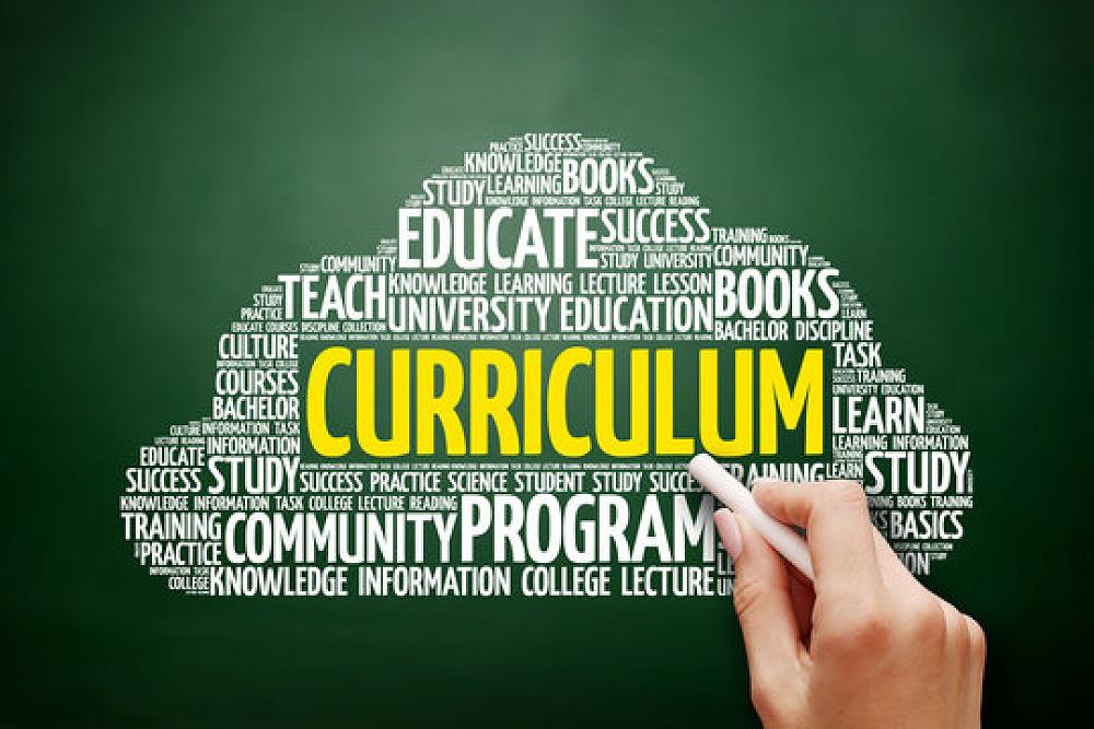 Curriculum Review 2024