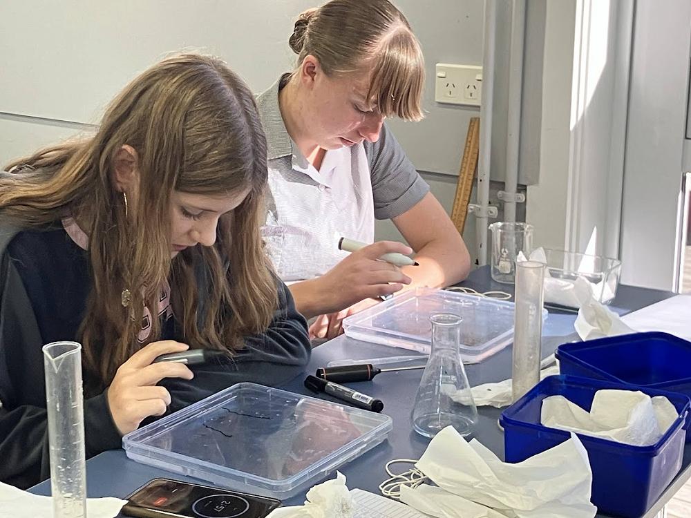 Level 3 Biology students hard at work — Nayland College Newsletter ...