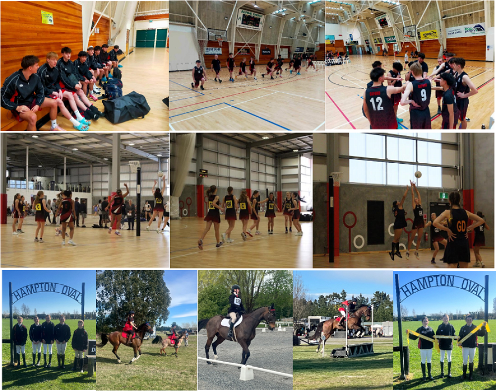 Week 7, Term 3, 2024