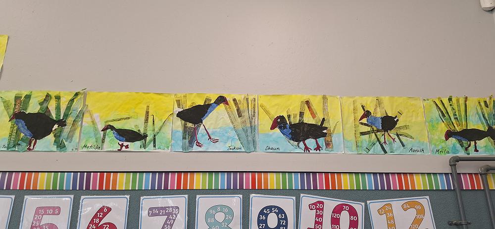 Pukeko - Week 4