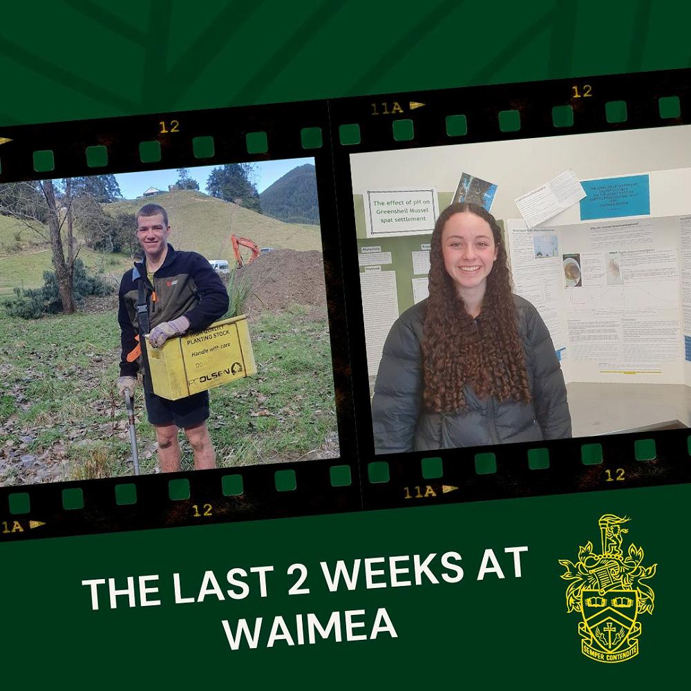 The Last Two Weeks at Waimea College
