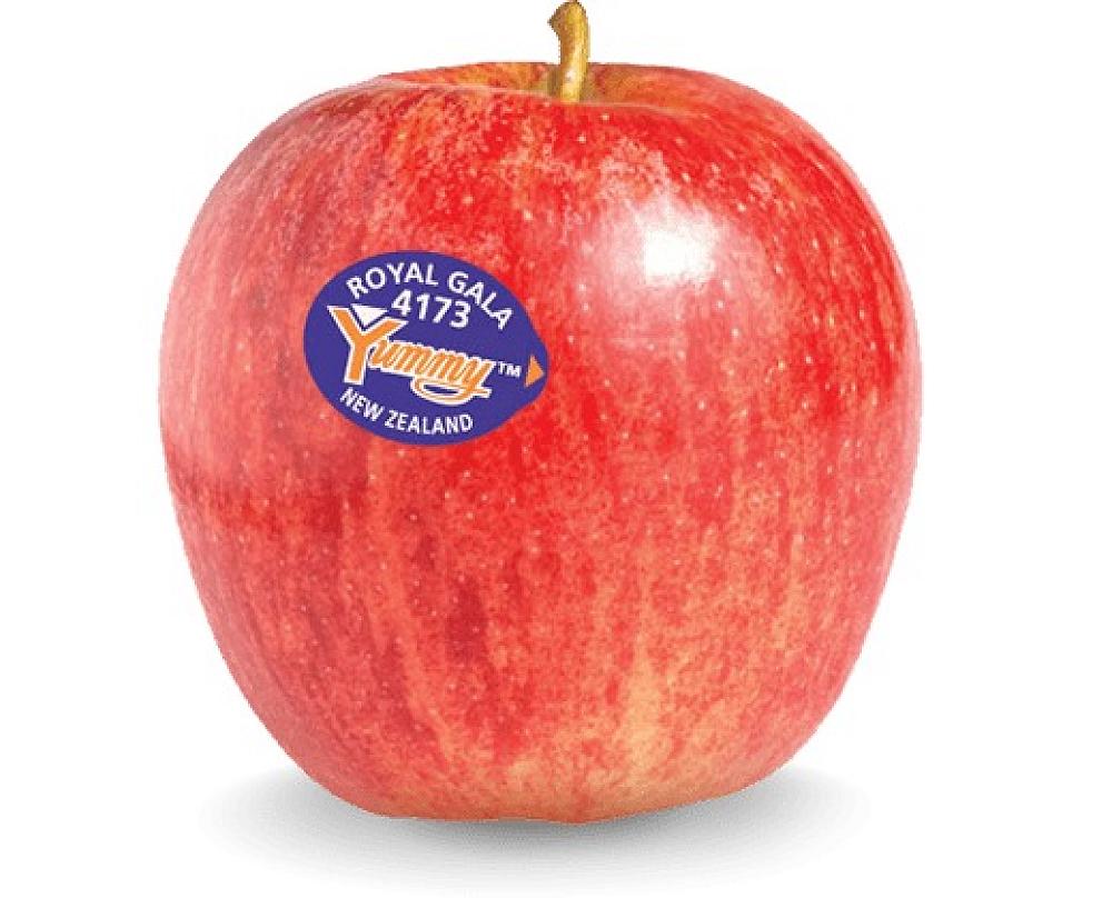 Yummy stickers - an apple a day keeps the doctor away!