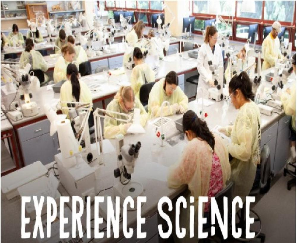 Experience Science
