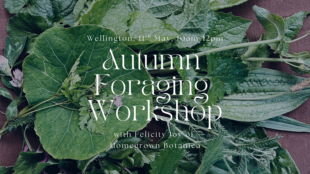 Autumn Foraging workshop