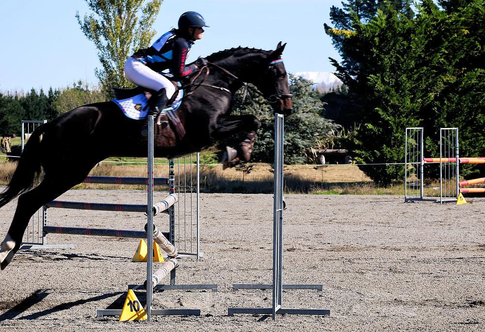 Congratulations to Our Talented Show Jumping Teams! 🏅 — DHS Dispatch ...