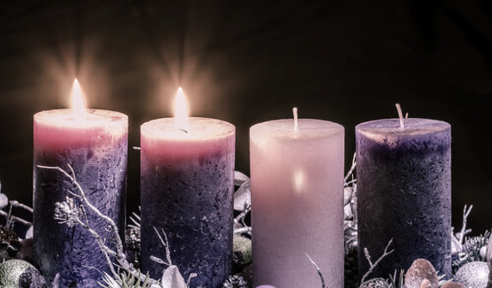 Week 9, Term 4, 2024 Newsletter