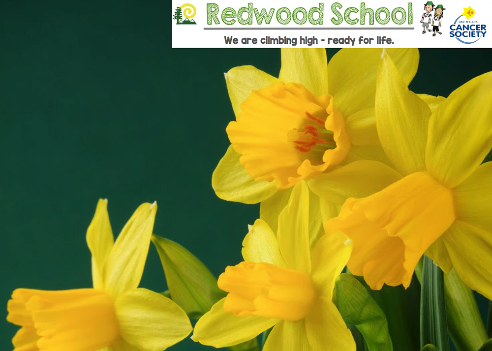 Daffodil Day 2025 — Newsletter No. 13, 28th August 2025