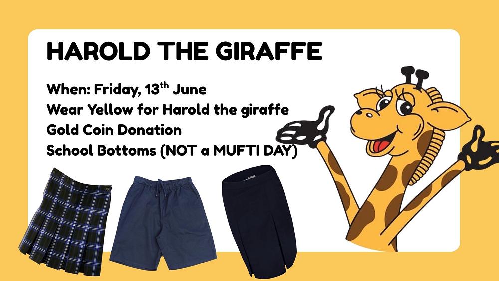 Wear Yellow for Harold - Friday 13th June