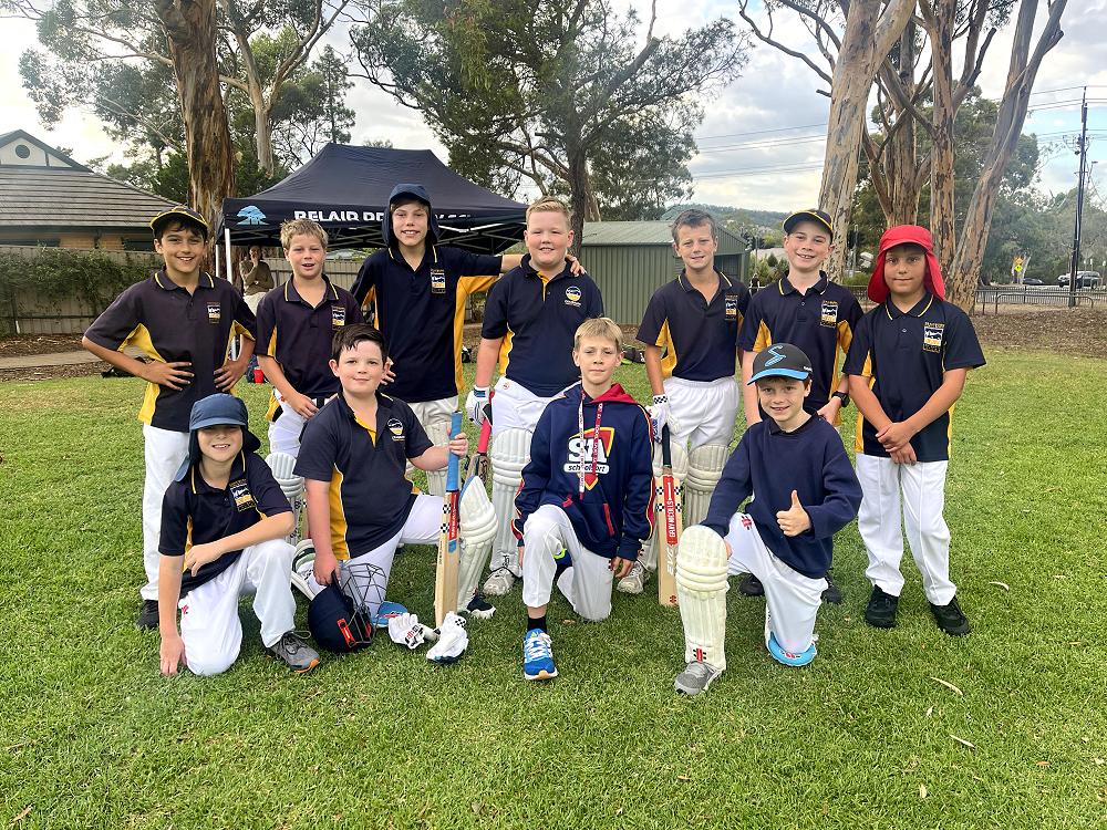 Sapsasa Knockout Cricket