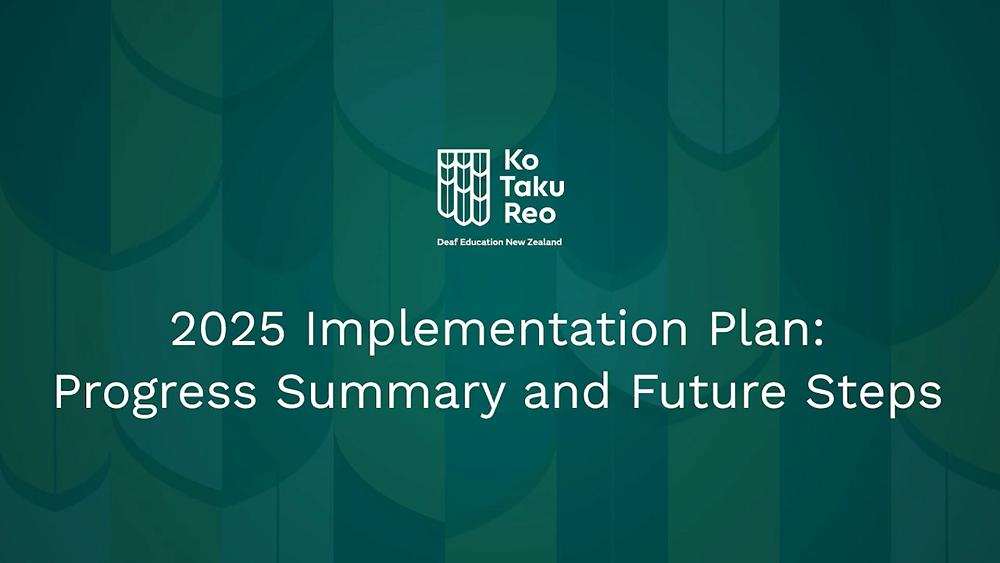 Video: 2025 Implementation Plan: Progress Summary and Future Steps