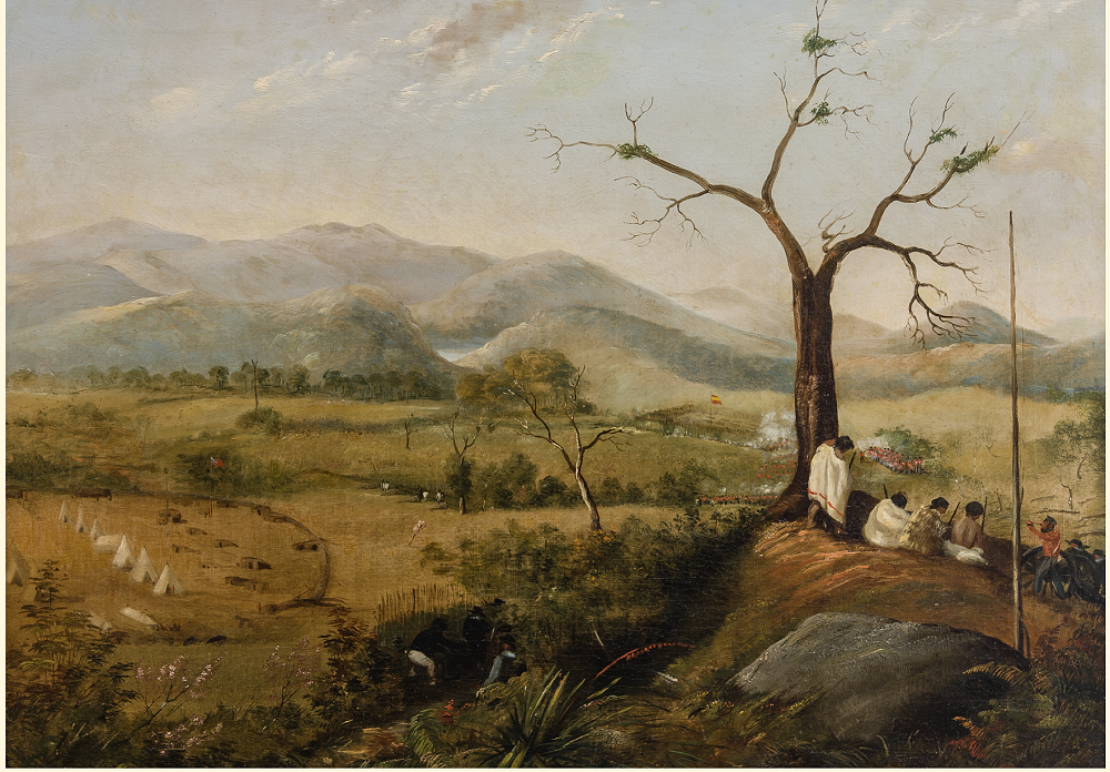 PART TWO: Te Tiriti o Waitangi & Democracy — Tui Motu Newsletter ...