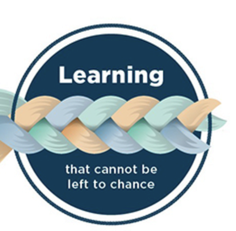 NZ Curriculum Refresh: Understanding the Phases of Learning