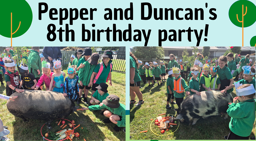 Pepper and Duncan's 8th Birthday Party — Kāwerongo/Newsletter - Term 4 ...