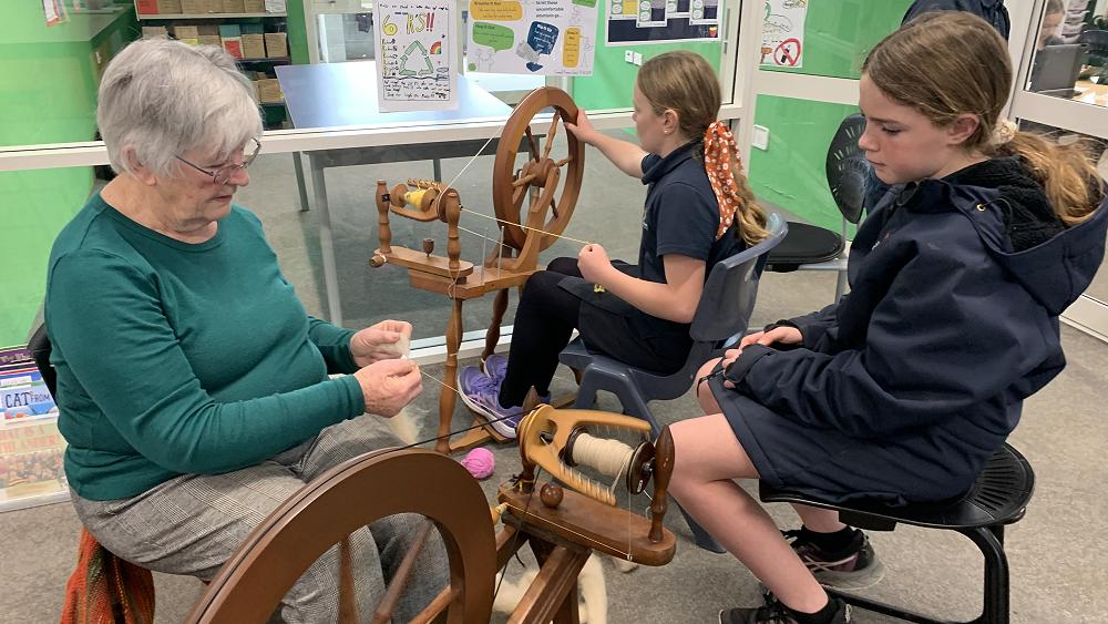 Wool in Schools
