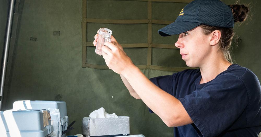 Environmental Health Careers - NZDF — Nayland College Update: Friday 28 ...