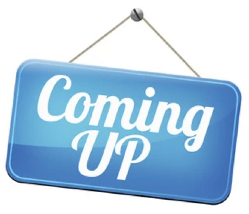 Have a read below at what is coming up in Term 4 in Hub 1...