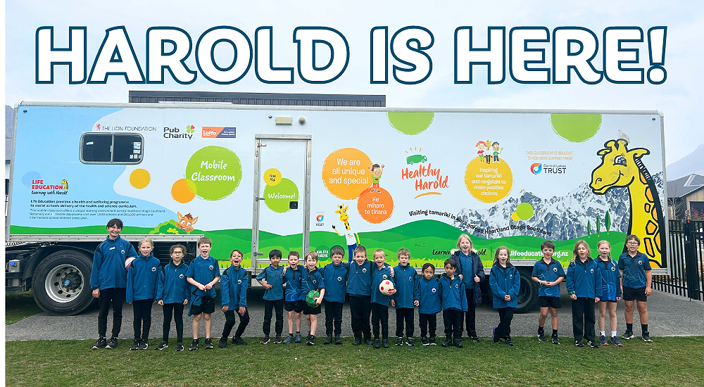 Life Education — Week 7 Term 3 Newsletter 2024