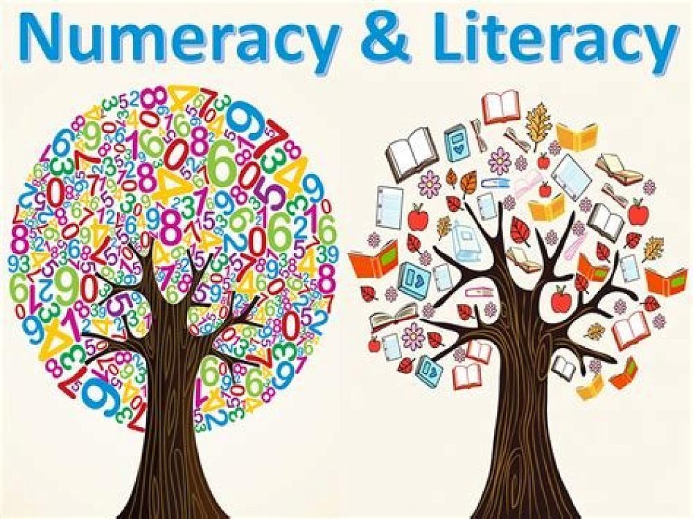 Literacy and Numeracy Week Eight — Waimate High School Newsletter