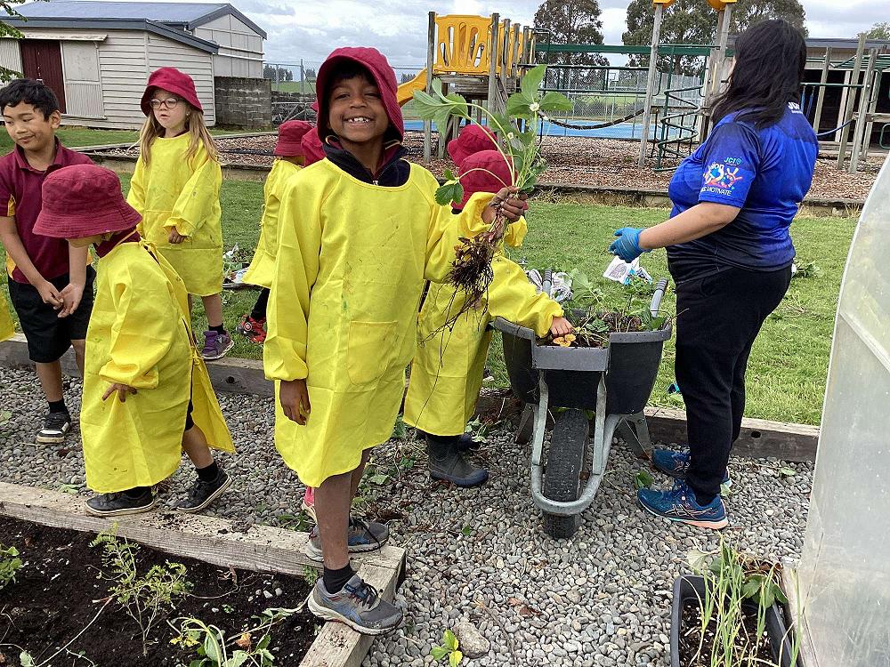 Newsletter - Term 4 2024, Week 6