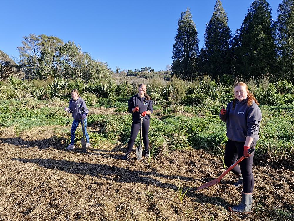 Kaitiakitanga Tree Planting at Kopurererua Valley