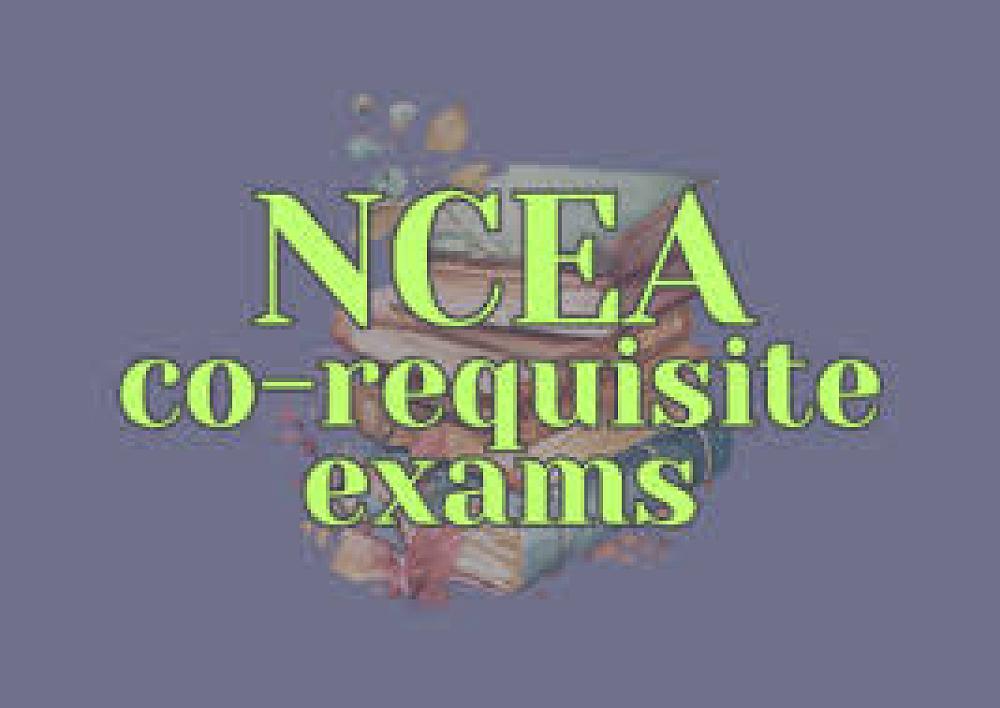 NCEA co-requisite preparation