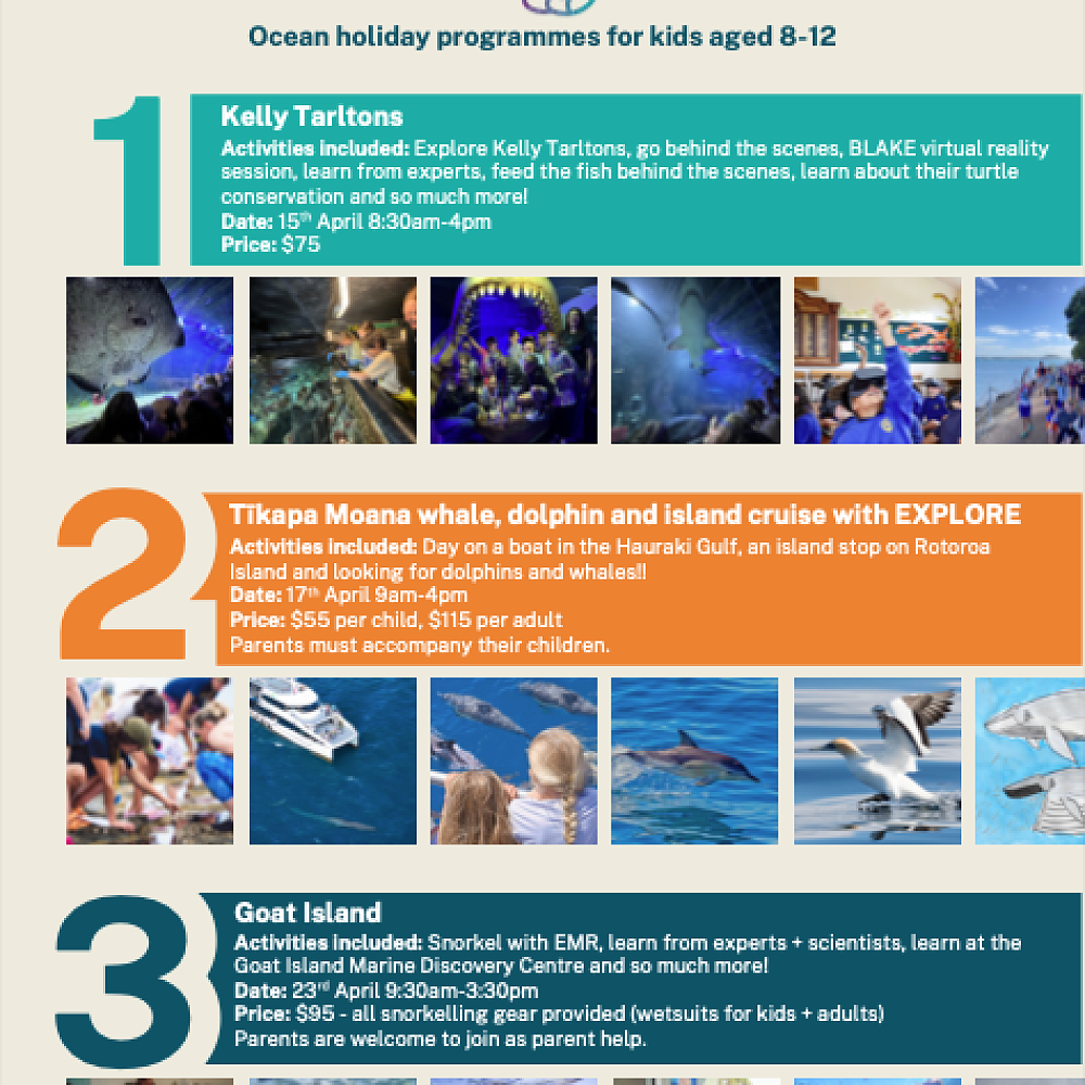 Young Ocean Explorers - Holiday Programme