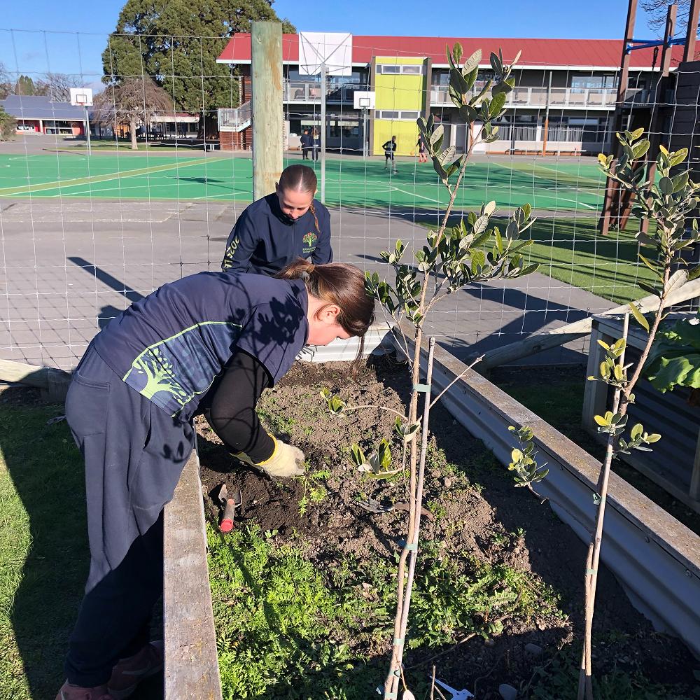 Week 3 Term 3 Newsletter 2025