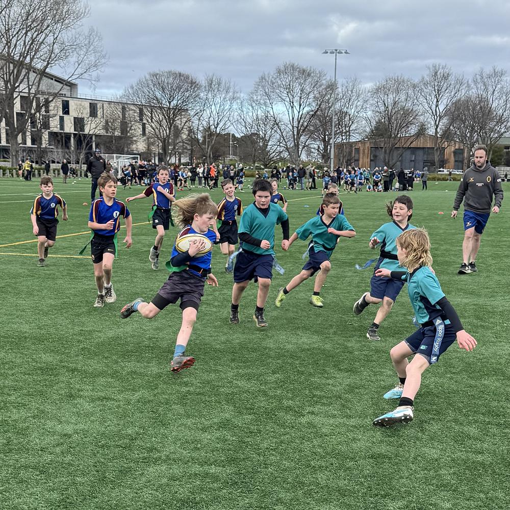 Term 3 Week 6 Newsletter