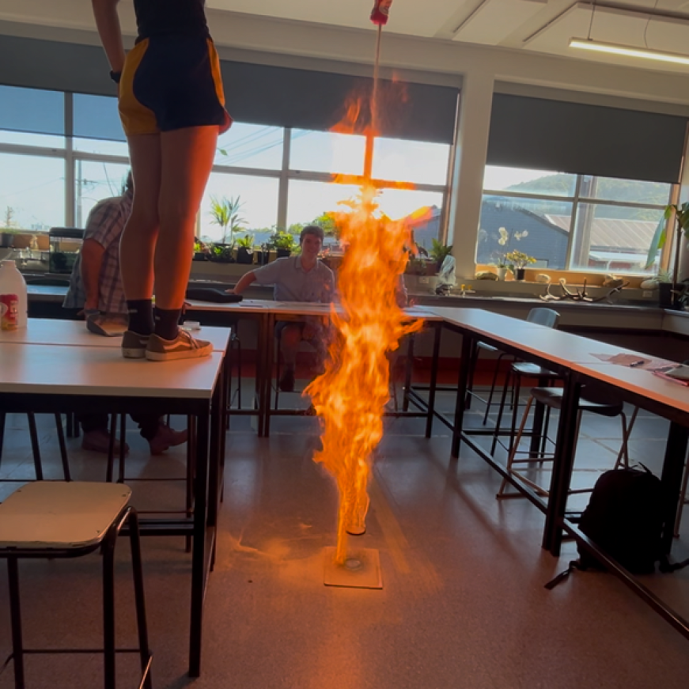 Science