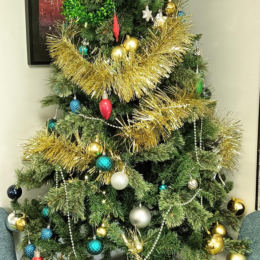 Merry Christmas - end of term reminders!