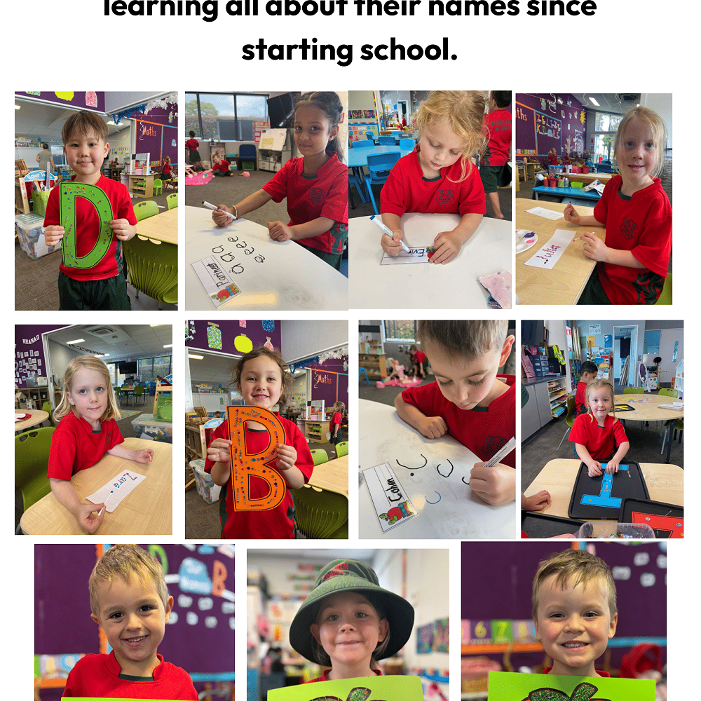 Reweti Team News — Newsletter 14 February 2025