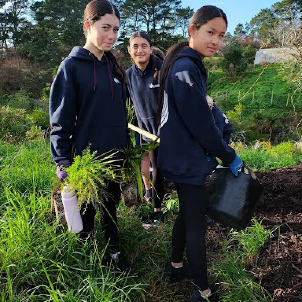 Tree Planting in Albany — AJHS eNewsletter - Week 10, Term 2