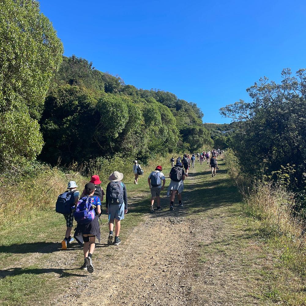 Great day on the Southern Walkway