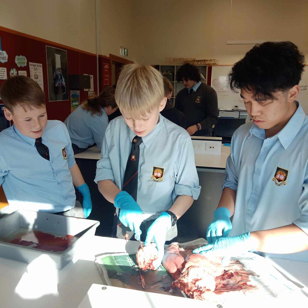 Year 10 Science