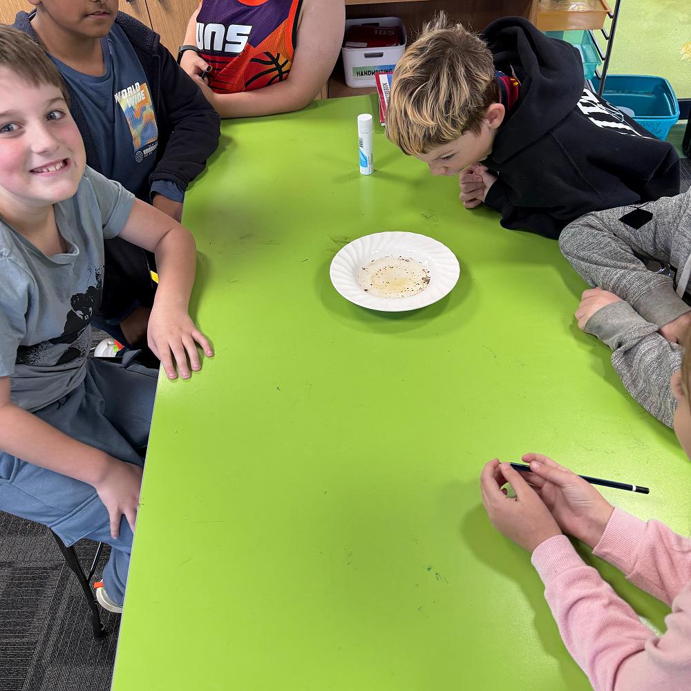 Incredible Experiments! — Newsletter: Issue 5, 2025