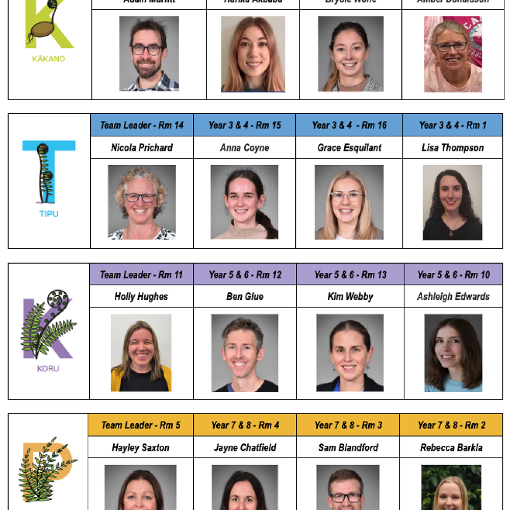 PRINCIPAL'S MESSAGE — NEWSLETTER: 15 November 2024