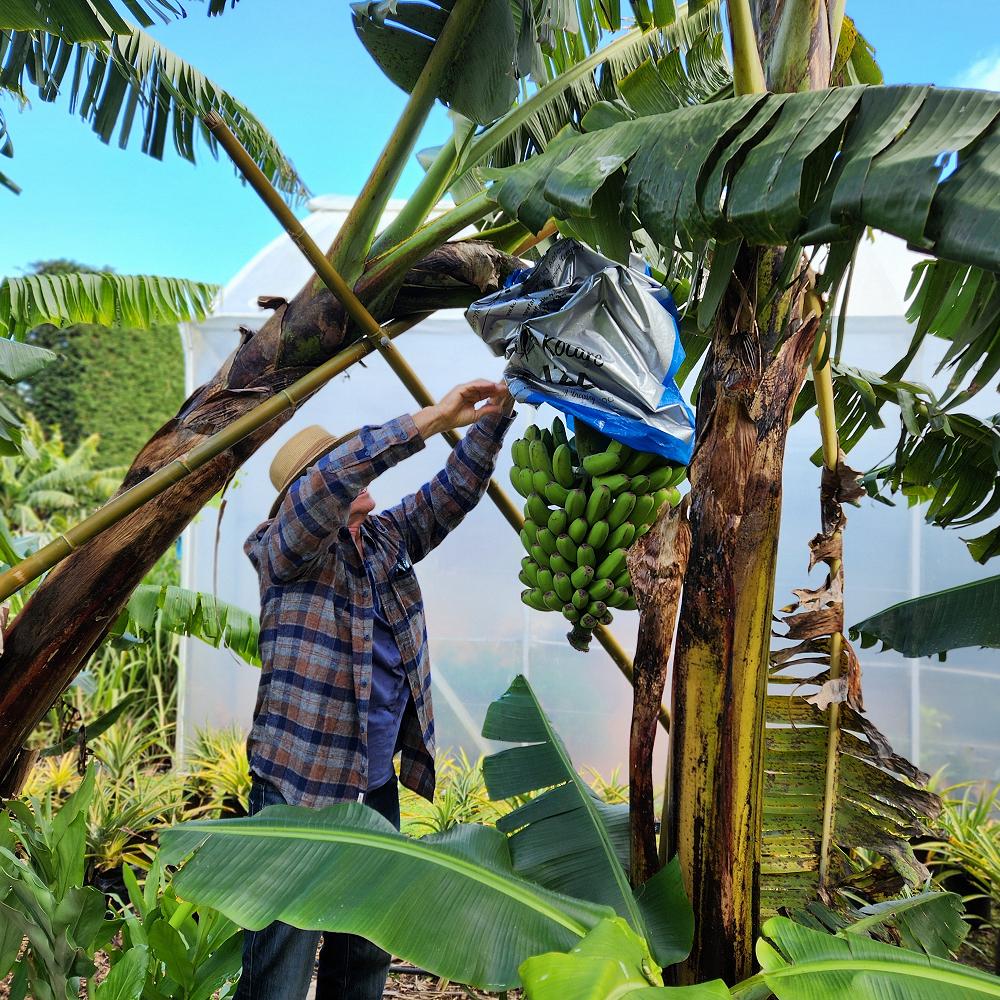 Kotare Subtropical Farms Field Trip – Tuesday 12th August