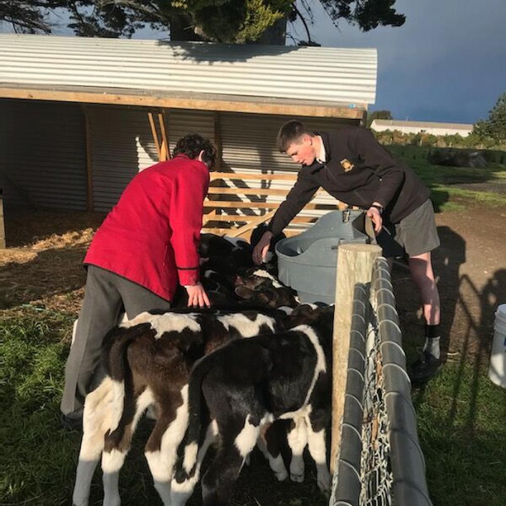 Fraser Farm — Newsletter #9, 2024