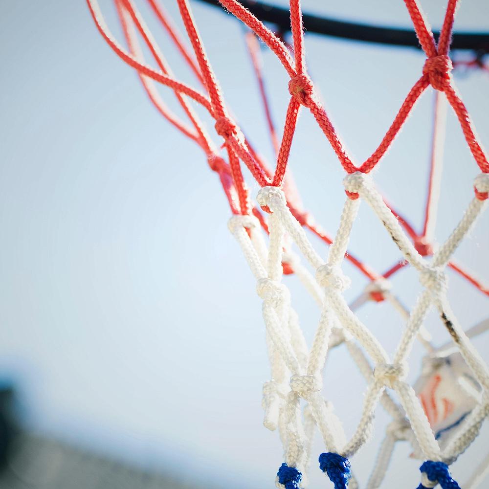 Future Ferns in Mossburn