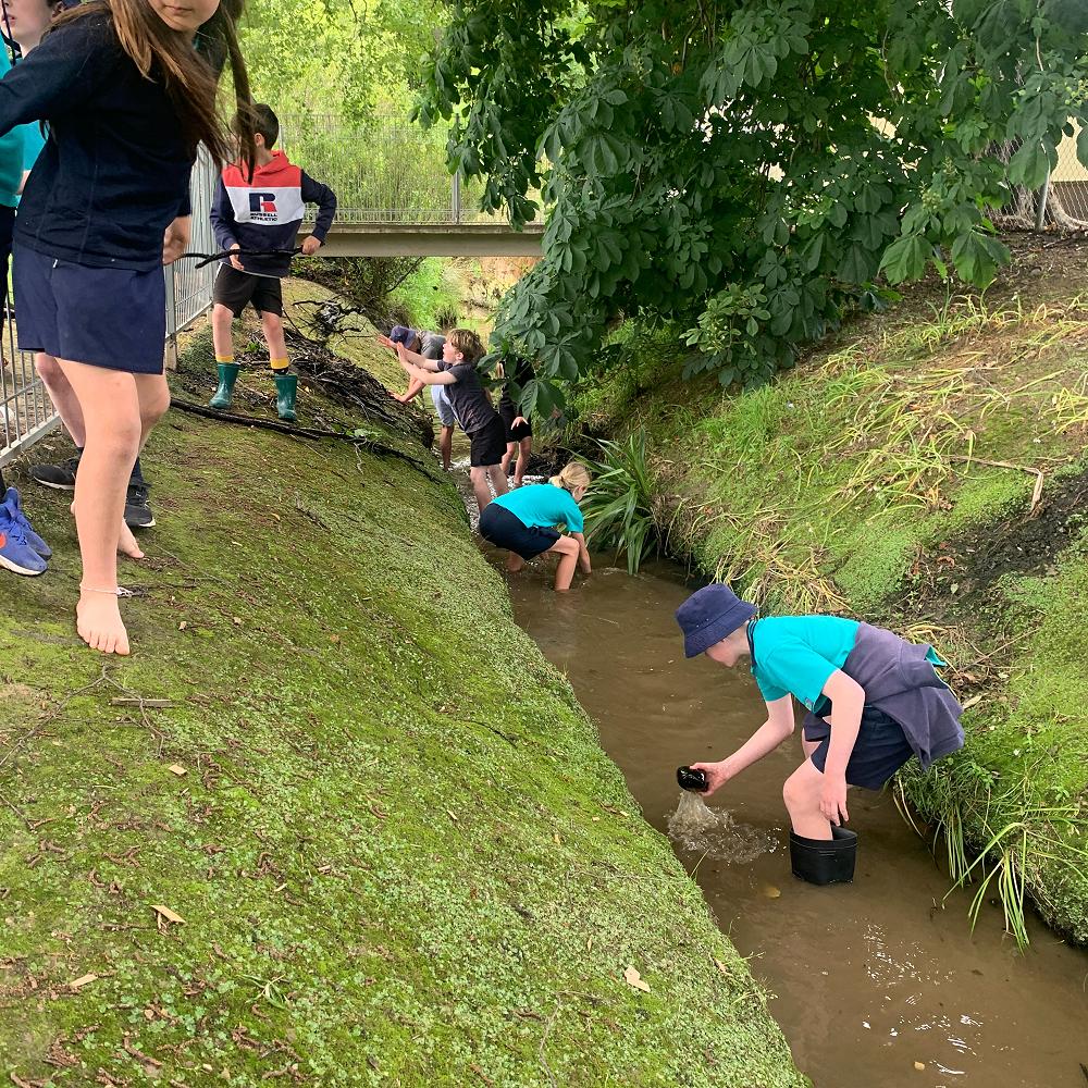 STREAM CLEAN — EAST TAIERI SCHOOL NEWSLETTER - 1 DECEMBER 2024