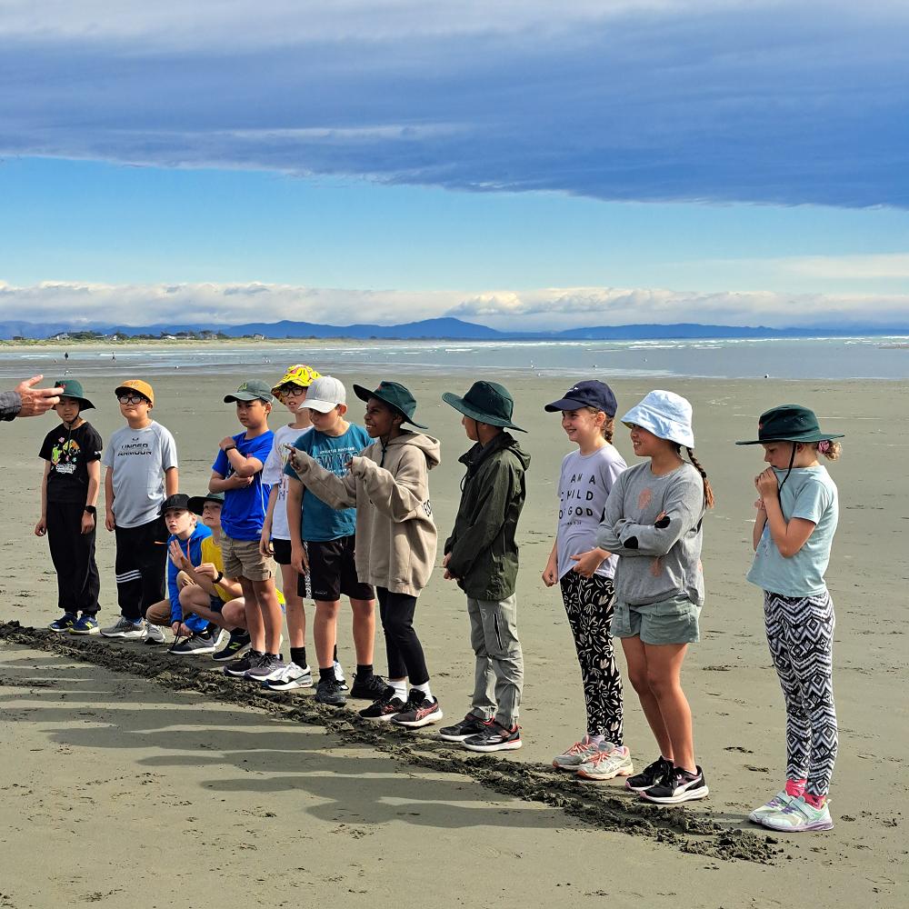 Sumner Beach visit by Room 12 & 13 — Newsletter #7 - 12 November 2024