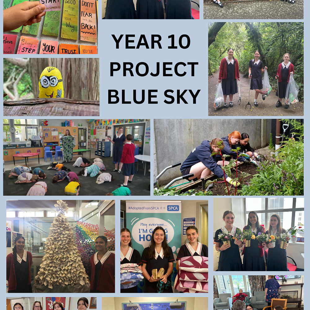 Blue Sky Projects — Update - 11 December 2024