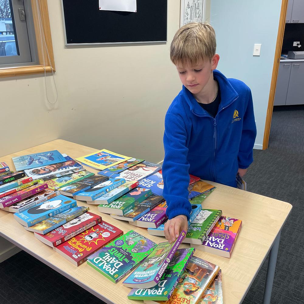 Our APS Vision and Values