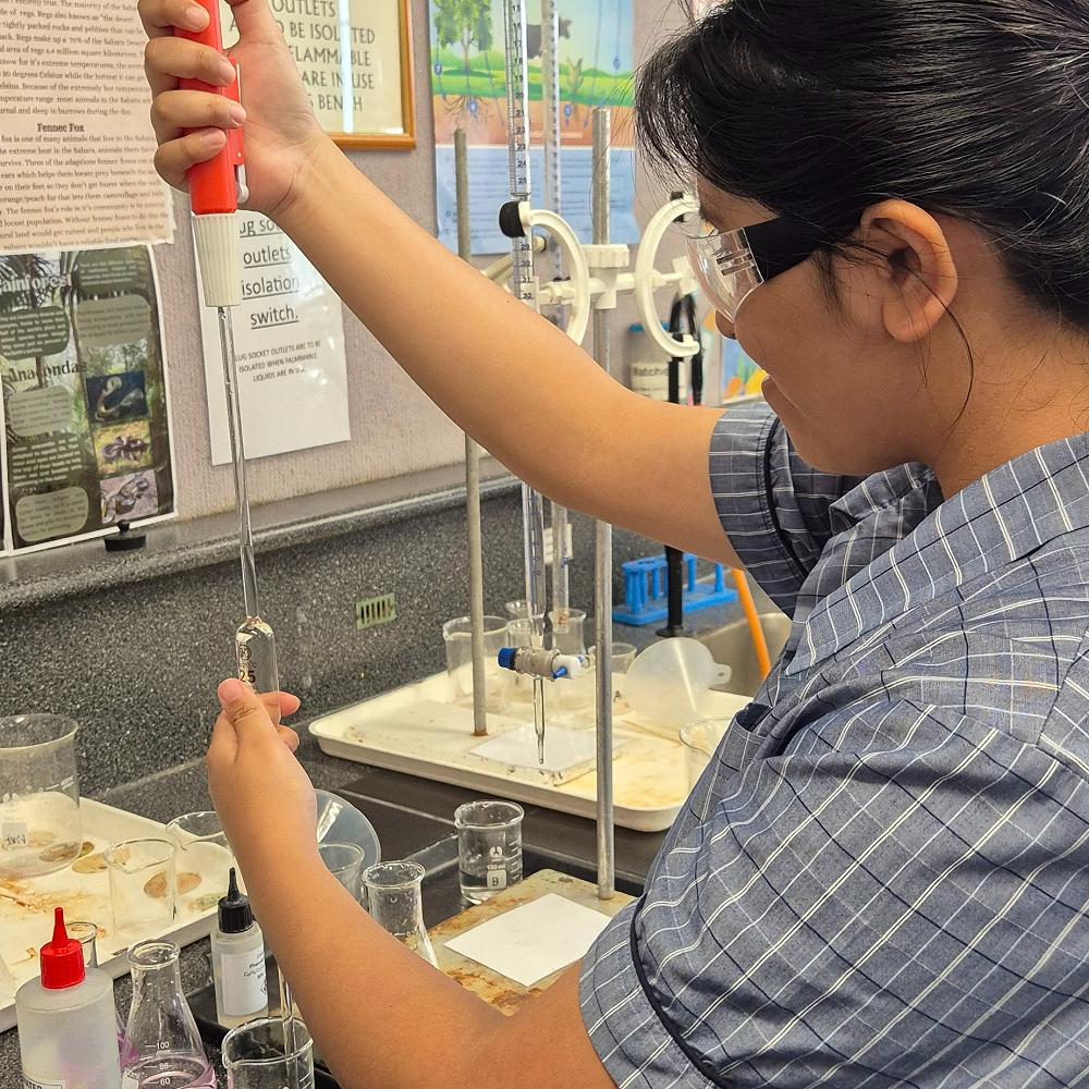 Year 12 Physical Science — Nautilus News