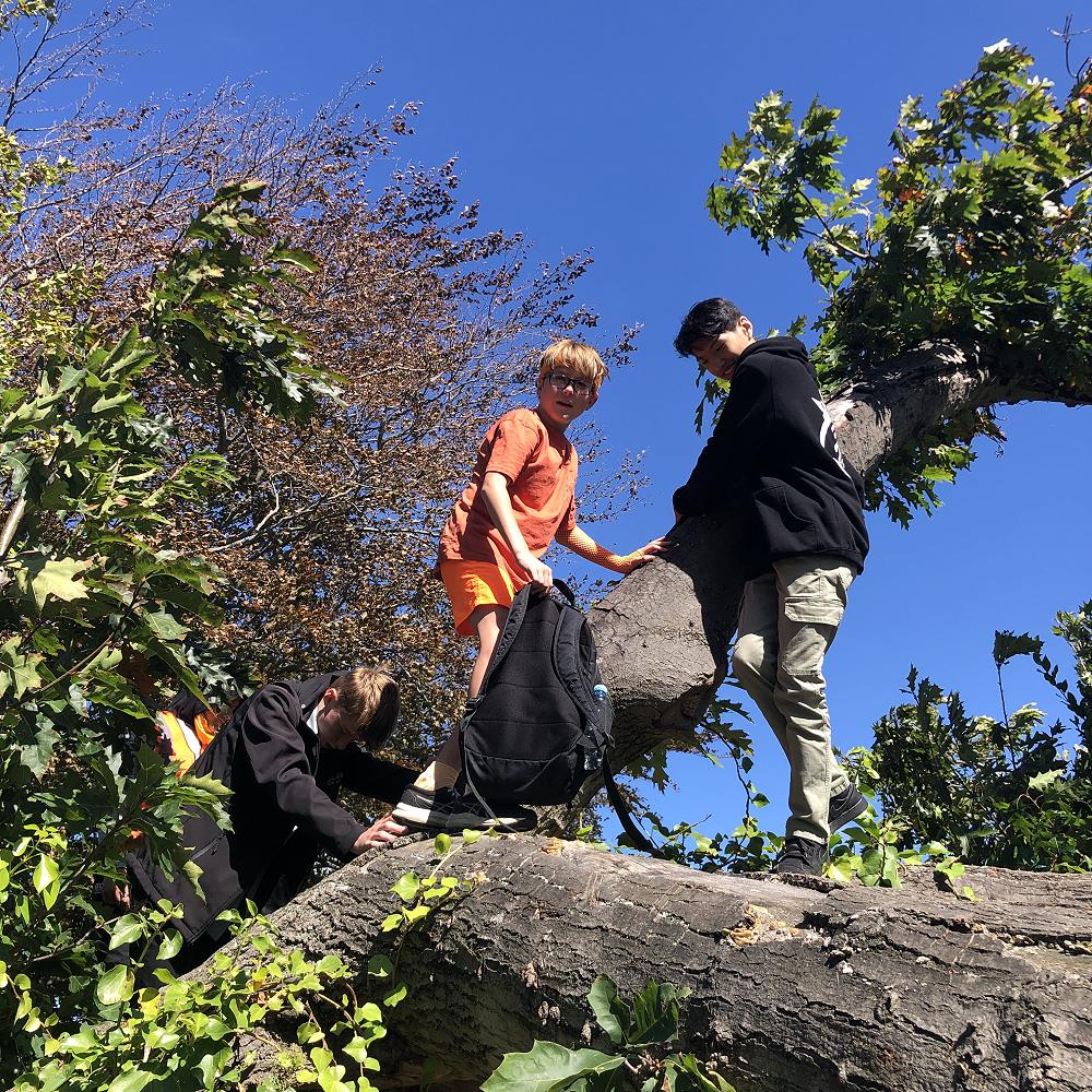 Climate Action Campus for Y10s — Kimihia | Te Aratai College: April 2025