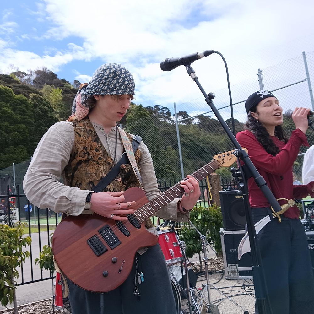 Outdoor Music Concert